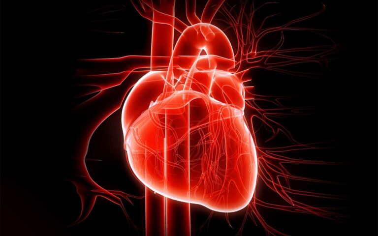 IL MIXOMA ATRIALE, IL TUMORE CARDIACO PER DEFINIZIONE – Studio ...